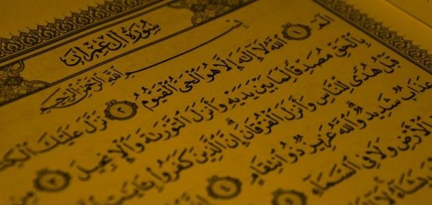 سور وآيات فاضلة المندب